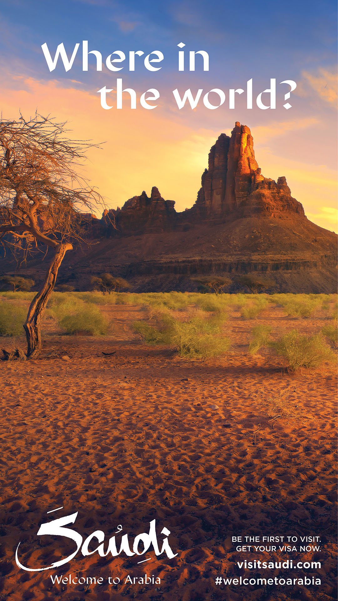 #WhereInTheWorld – DDB Website